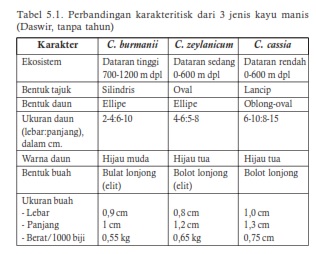 Kayu Manis (Cinnamon burmanii) » Nature Ace Indonesia